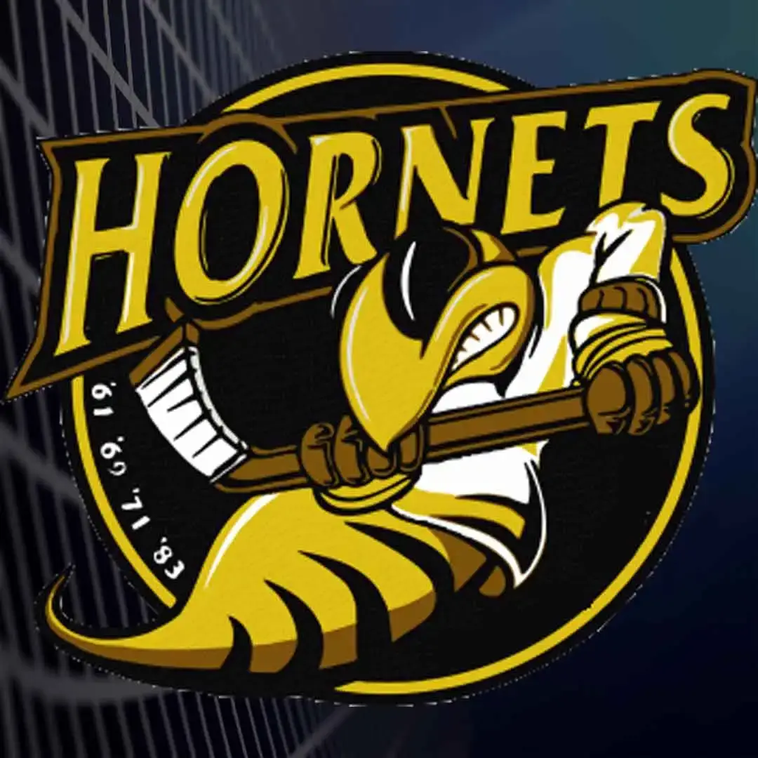 CAMBRIDGE HORNETS SET TO RETURN FOR 2025-26 ALLAN CUP HOCKEY LEAGUE ...